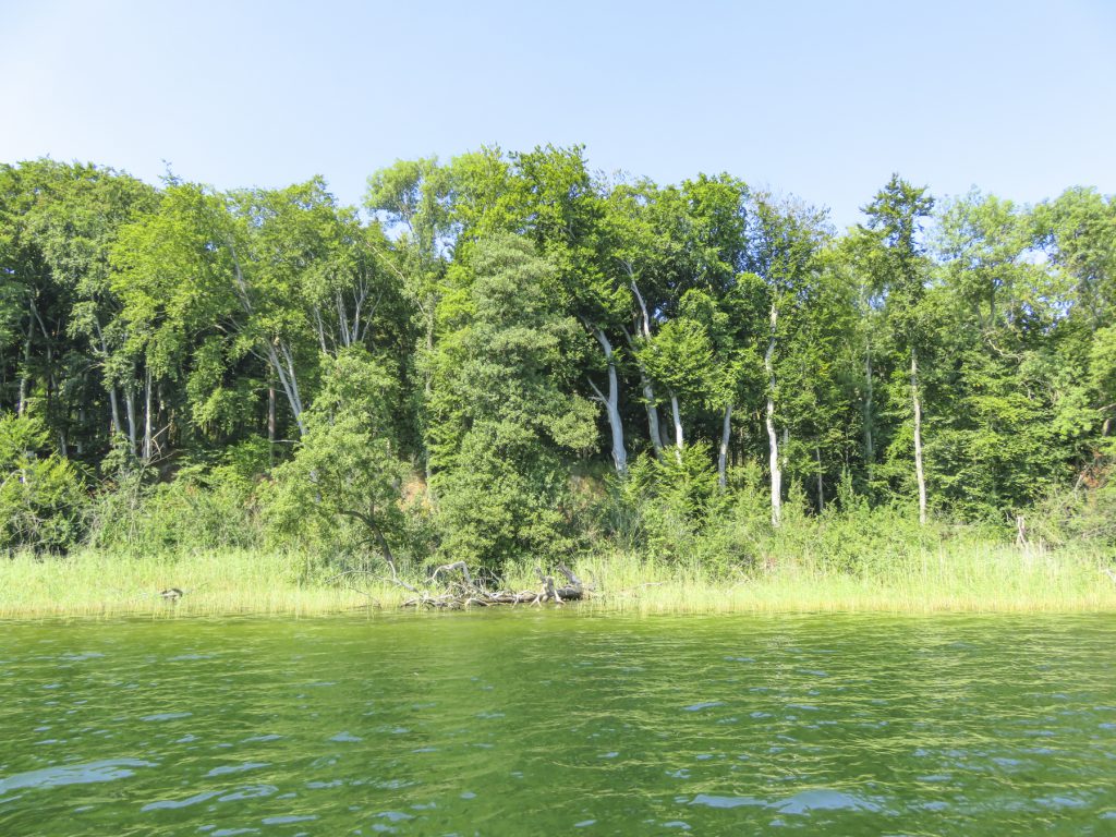 Rundtour um den Tollensesee - 36 km Radtour bei Neubrandenburg
